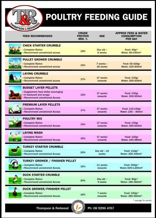 Poultry Feeding Guide Thompson And Redwood Poultry Feeding Guide Thompson And Redwood
