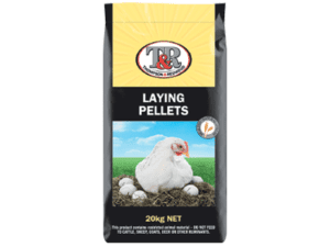 Feeding your Chicken throughout the Lifecycle - Thompson and Redwood