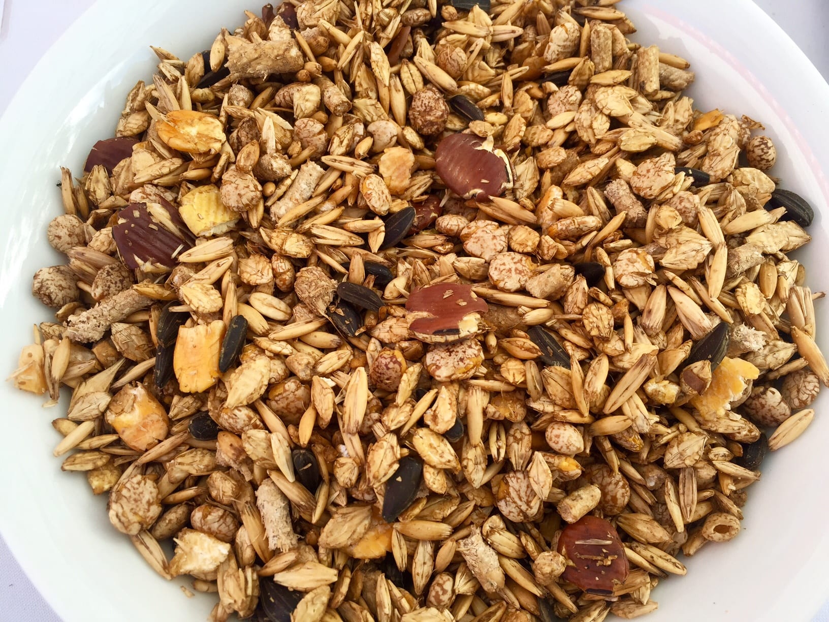 Sponsored rider update: Katelyn Prendiville - Thompson and Redwood