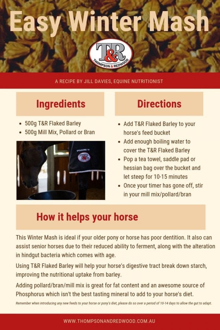 Easy Winter Mash for Horses - Thompson and Redwood