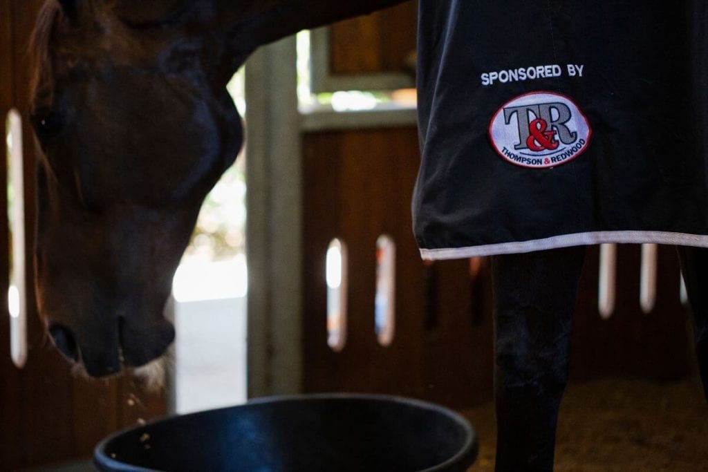 Easy Winter Mash for Horses - Thompson and Redwood