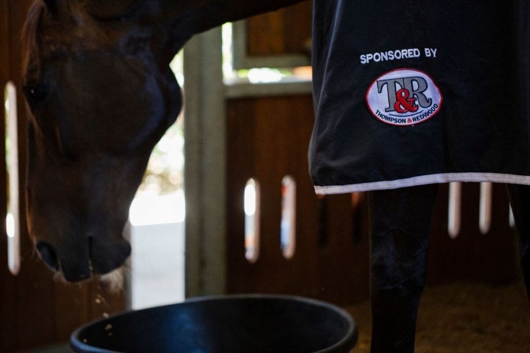 Easy Winter Mash for Horses - Thompson and Redwood