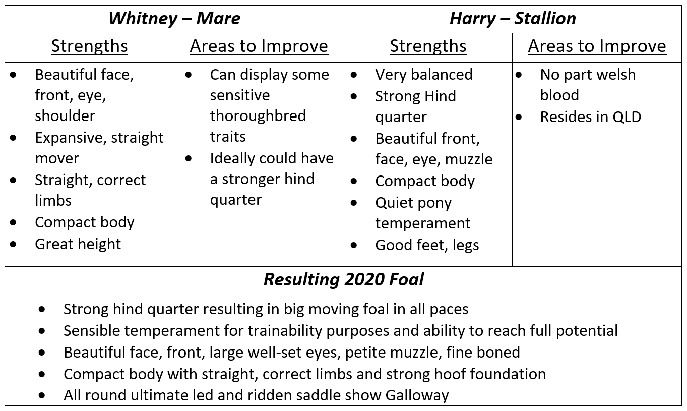 The 'Ins and Outs' of Breeding Horses - Thompson and Redwood