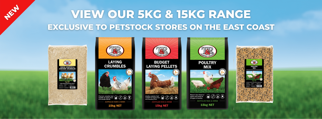 Chicken and Poultry Feeds | Thompson and Redwood