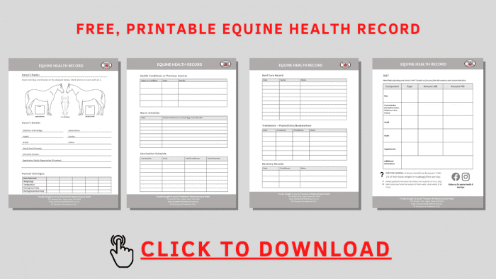 FREE PRINTABLE EQUINE HEALTH RECORD Thompson and Redwood