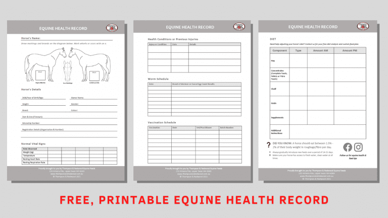 FREE PRINTABLE EQUINE HEALTH RECORD Thompson and Redwood