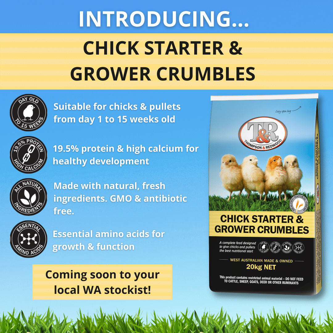 NEW PRODUCT! Introducing Chick Starter & Grower Crumbles 20kg ...
