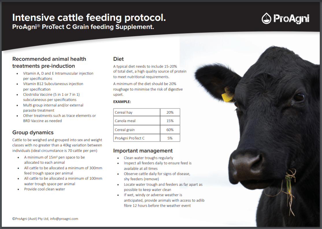 Protect C | Cattle Feed Supplement | Thompson and Redwood