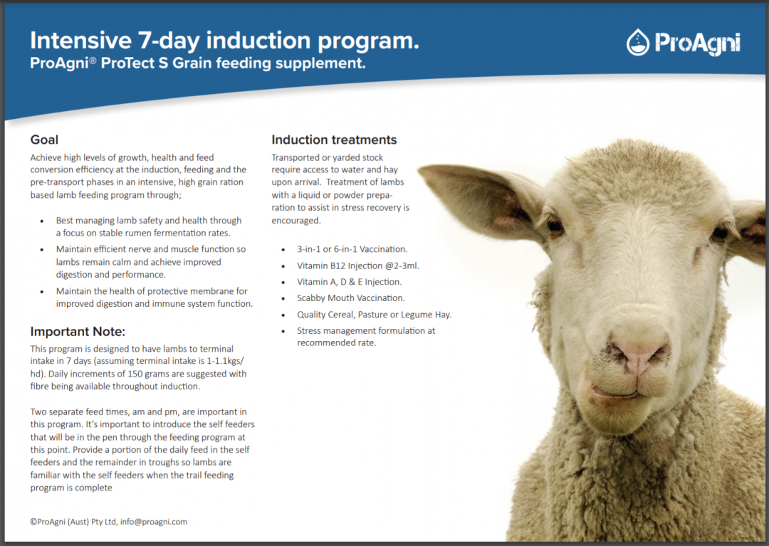 ProTect S | Sheep Feed Supplement | Thompson and Redwood