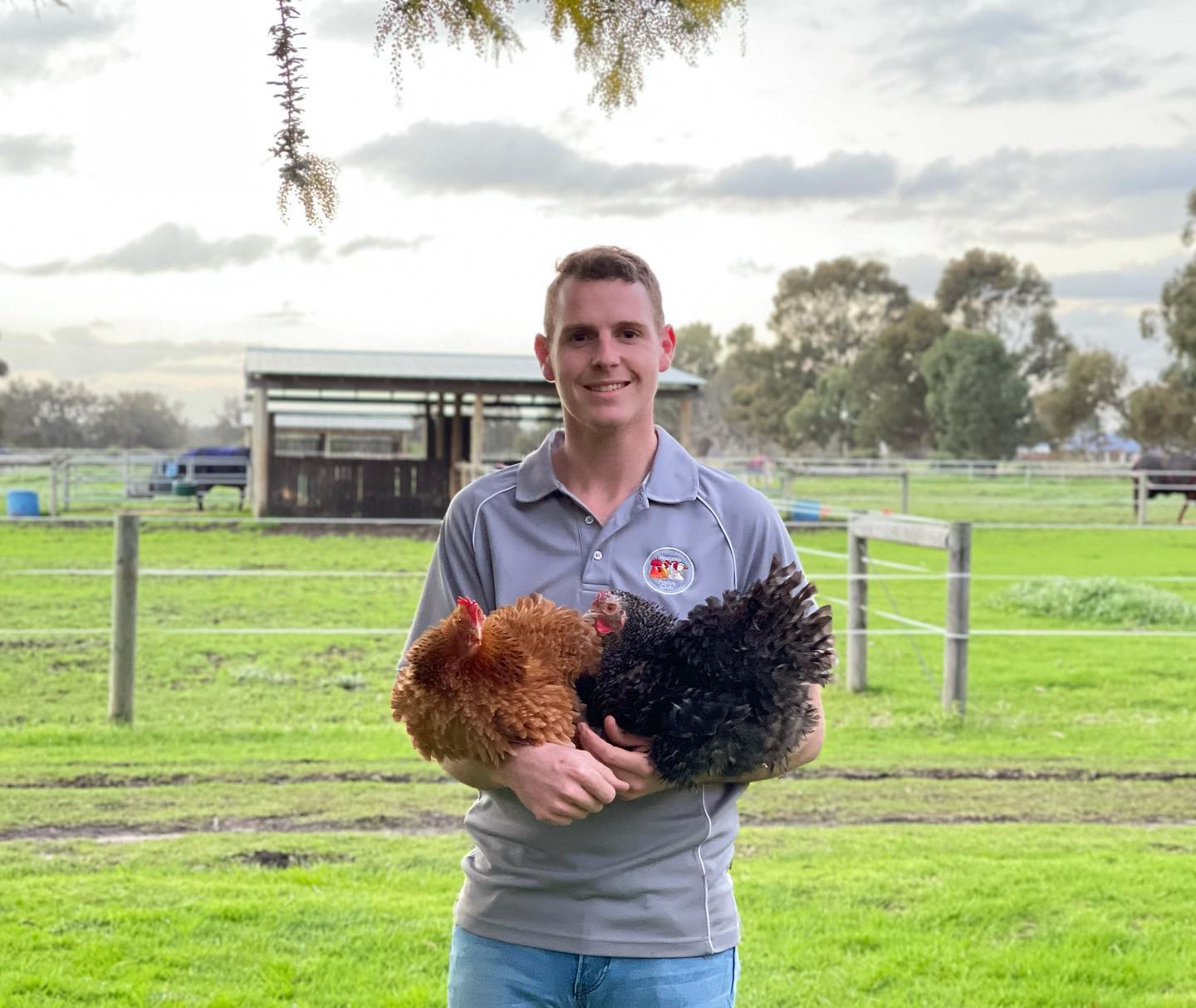 Foxes & Livestock - Understanding them better to help manage the threat ...