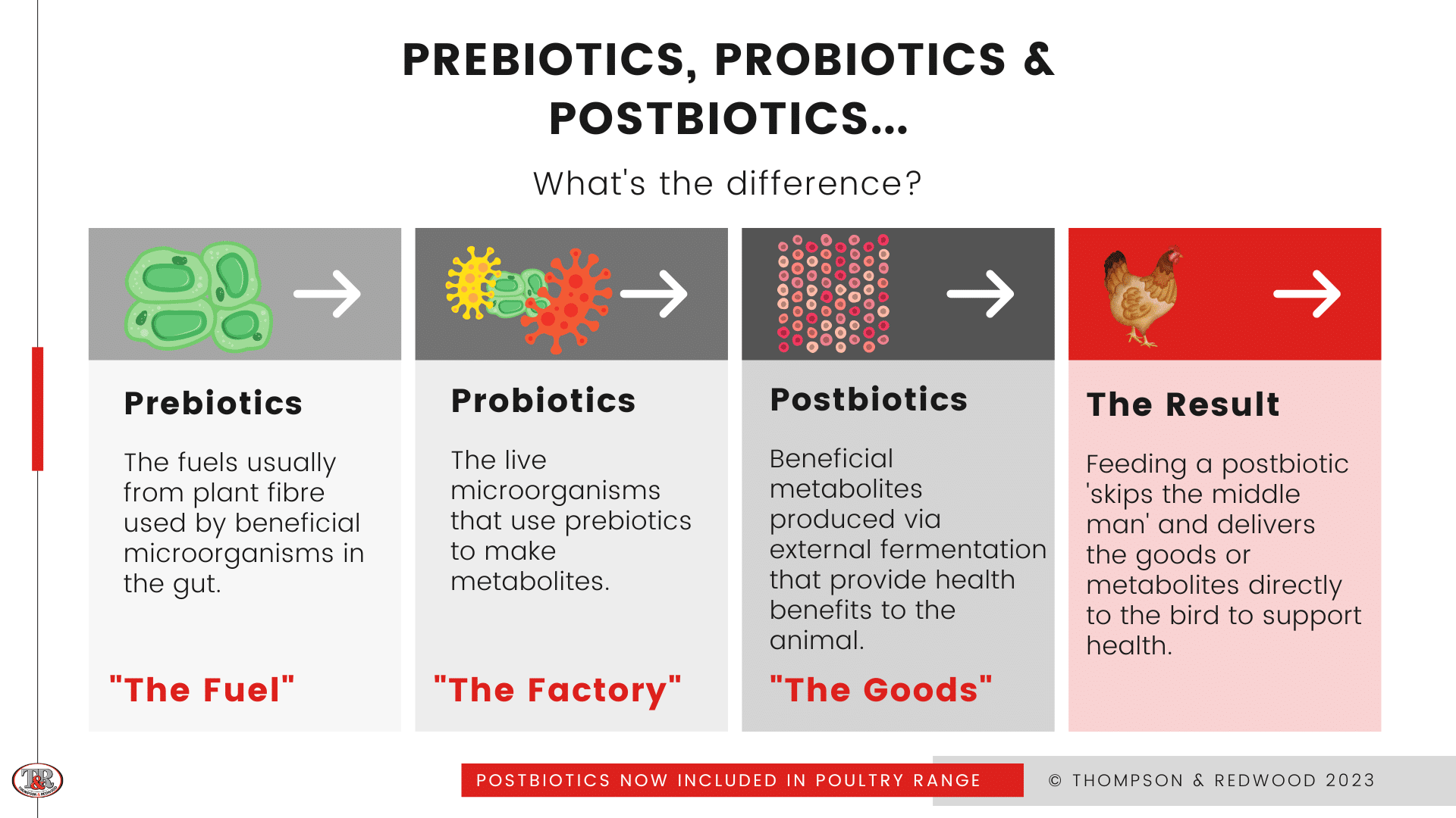 POSTBIOTICS Now Included in T&R Poultry Feeds