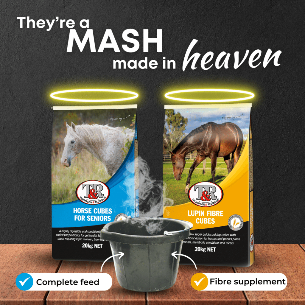 Our Super Mash Feed for Senior Horses - Thompson and Redwood